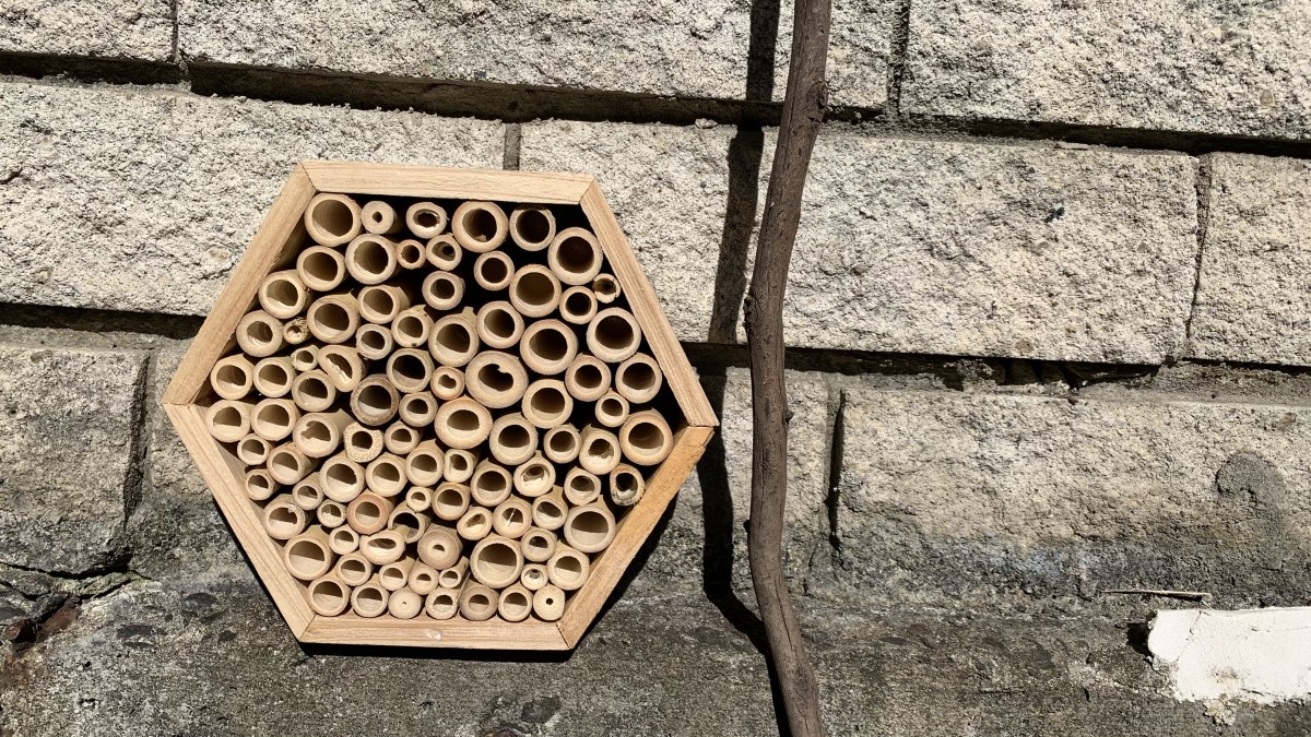 Best Place to Put an Insect Hotel | Top 5 Tips - Eco Family Life