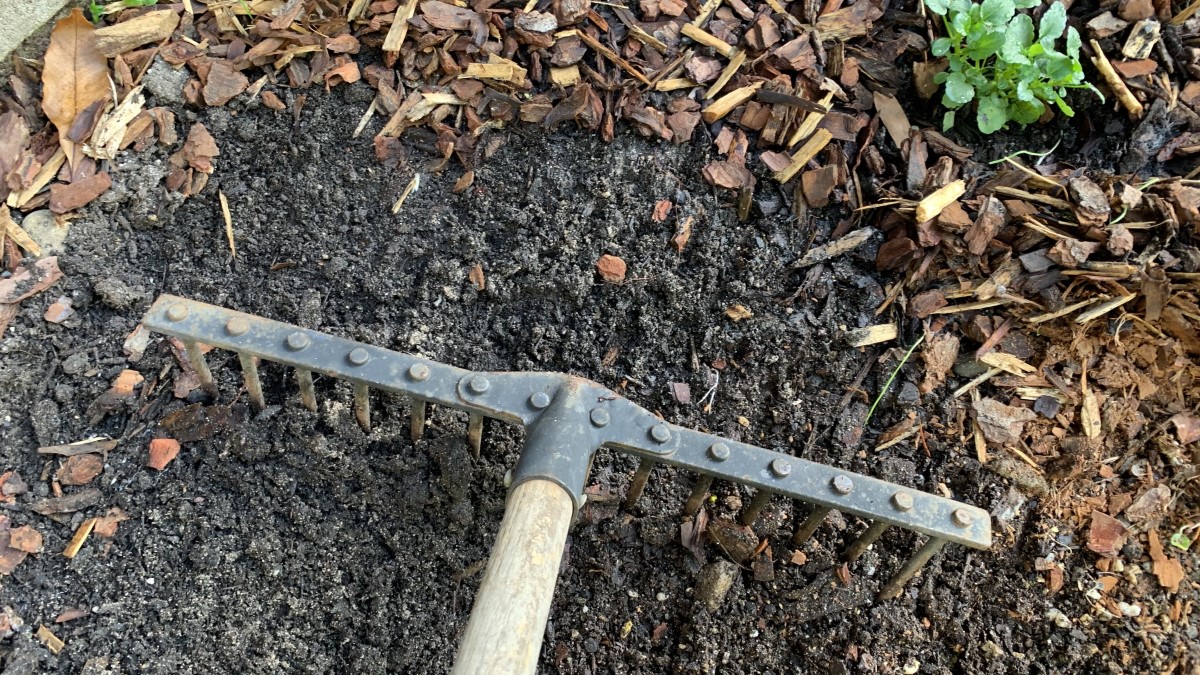 Mulch over Wildflower Seeds | Should you do it? - Eco Family Life