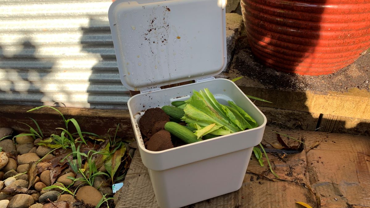 Direct composting in pots | Step by Step Guide - Eco Family Life