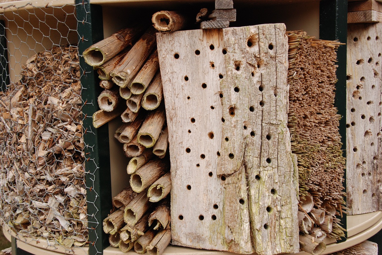 Do bug hotels really work? | Must-Know - Eco Family Life