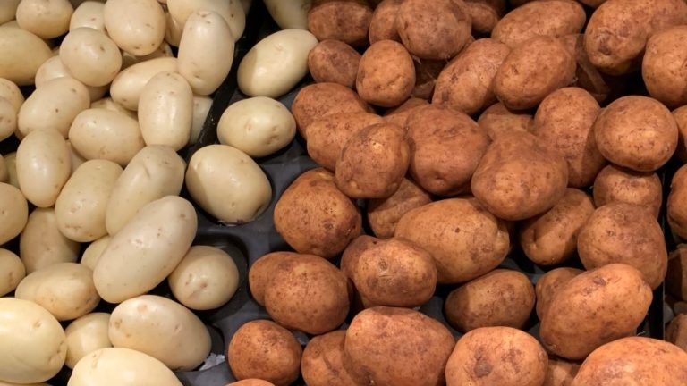 Feeding worms potato peels | Complete Guide - Eco Family Life