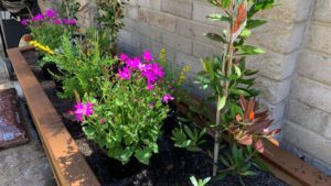 How to fill a planter box | Easy guide - Eco Family Life