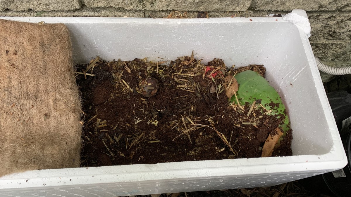 Are dried worm castings still good? | Easy Storage Guide - Eco Family Life