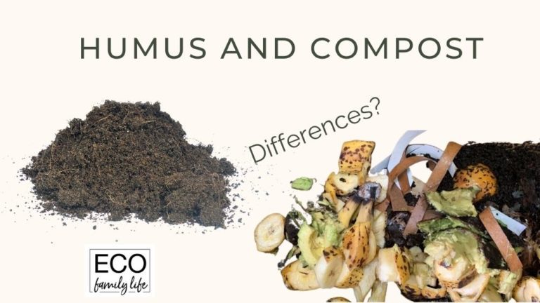 Difference Between Humus and Compost | Top 5 Key Differences - Eco ...