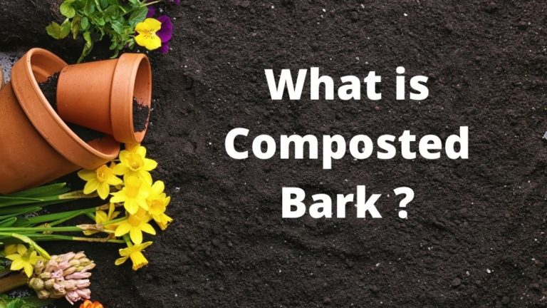 What is Composted Bark? | Top 3 Garden Uses - Eco Family Life