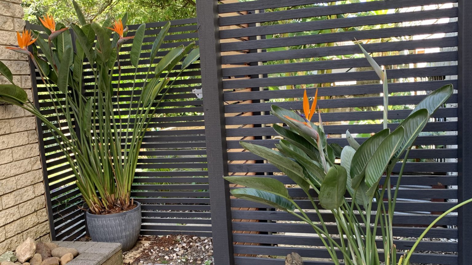 Should I Mix Sand with My Potting Soil? | Answered! - Eco Family Life