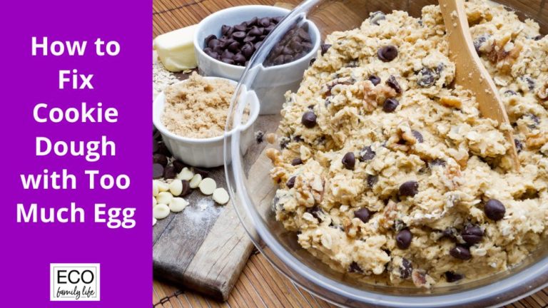 How to Fix Cookie Dough with Too Much Egg | 5 Easy Ways - Eco Family Life