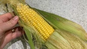 Is Corn Man-Made? | The Strange Story of Corn - Eco Family Life