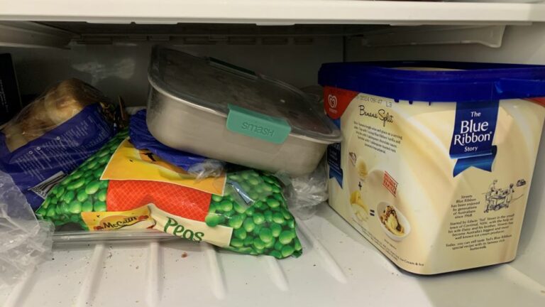 How to Freeze Food in Metal Containers | 3 Simple Steps - Eco Family Life