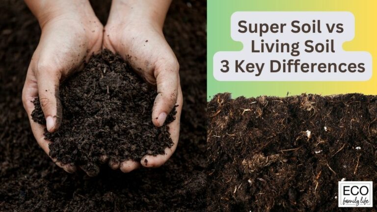 Supersoil vs Living Soil | 3 Key Differences - Eco Family Life