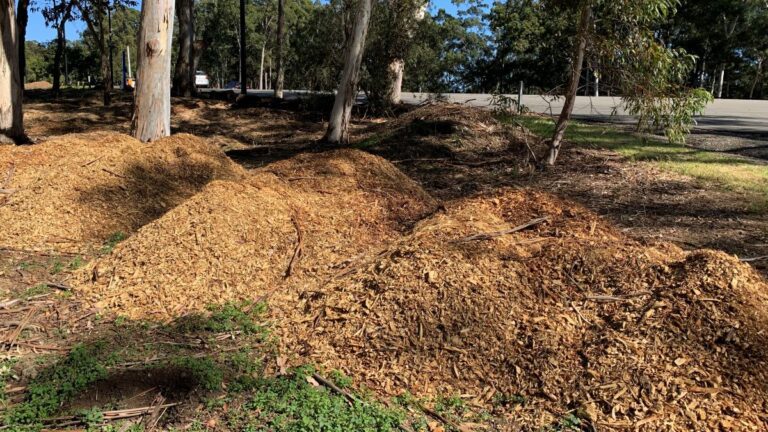 How to Compost Wood Chips Fast | Tips and Tricks - Eco Family Life